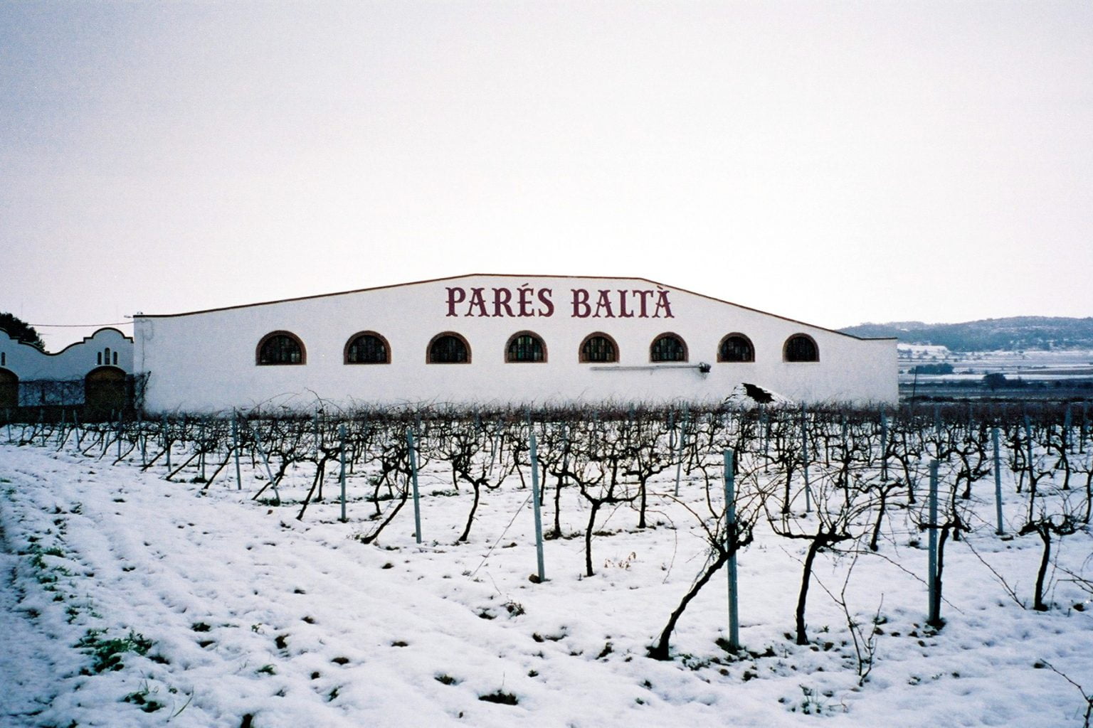 Parés Baltà | Norex